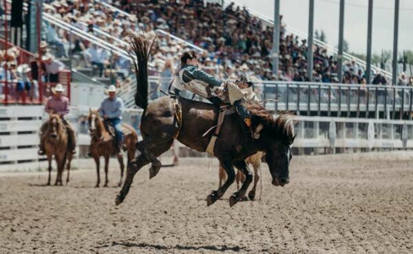 World's best cowboys & cowgirls Gold Country Pro Rodeo Auburn