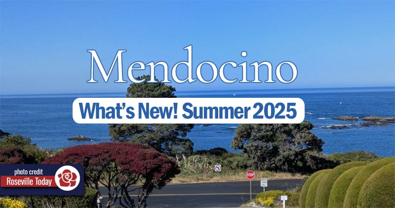What's New in Mendocino, CA: Summer 2025 - Roseville Today