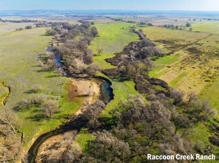 Placer County locks in vast Raccoon Creek Ranch north of Lincoln ...